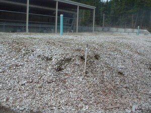 Application of Biofilter System in Waste Water Treatment - Beta ...