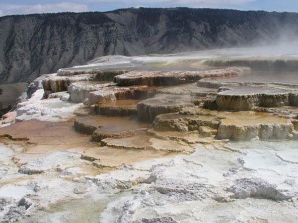 Mengenal TDS dalam Air - Beta Pramesti Asia