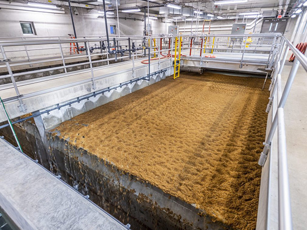 Penggunaan Antifoulant - Beta Pramesti Asia